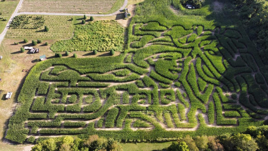 Fall Fun - Piney Acres Farm